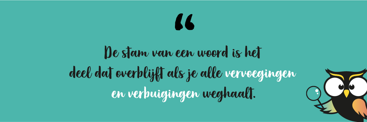 Wat is de stam van een werkwoord? (uitleg)