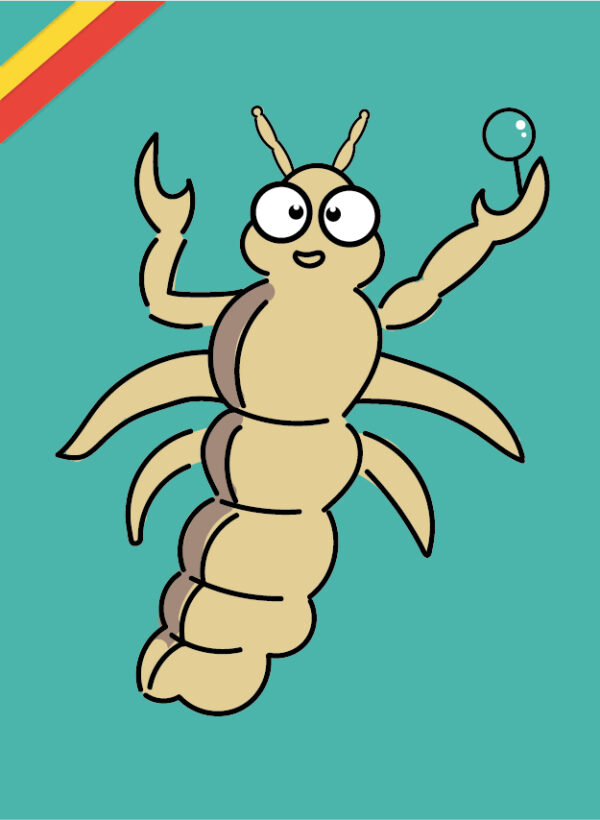 Help! Mijn kind heeft luizen!