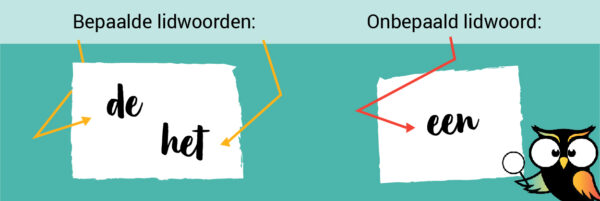 Alles over het zelfstandig naamwoord en lidwoord