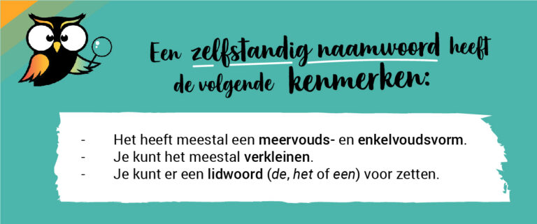 Alles over het zelfstandig naamwoord en lidwoord